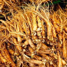 Mukombero Root / Mukonjo / Mondia Whitei – Cosmic Bazaar